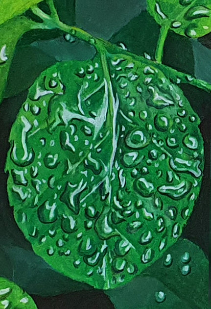 Drawing leaf with oil pastel 🍃 – finkicraft